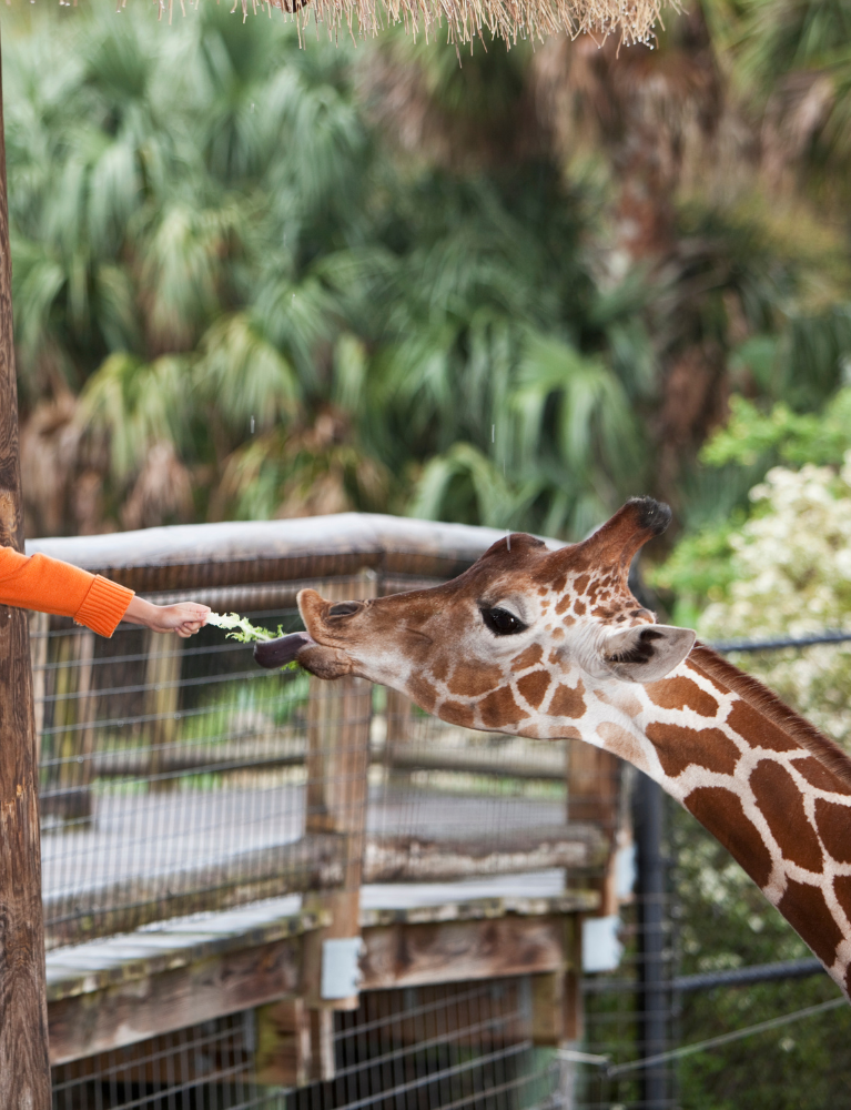 Family friendly hotels & activities across the UK | The QHotels Collection